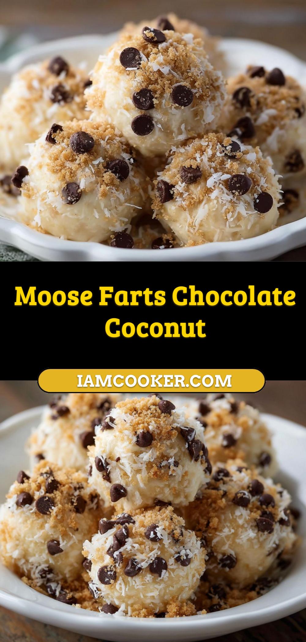Moose Farts with Chocolate and Coconut - Iam Cooker